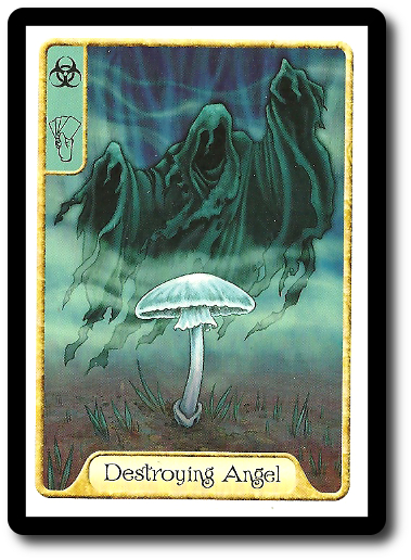 Morels Game Review - Father Geek